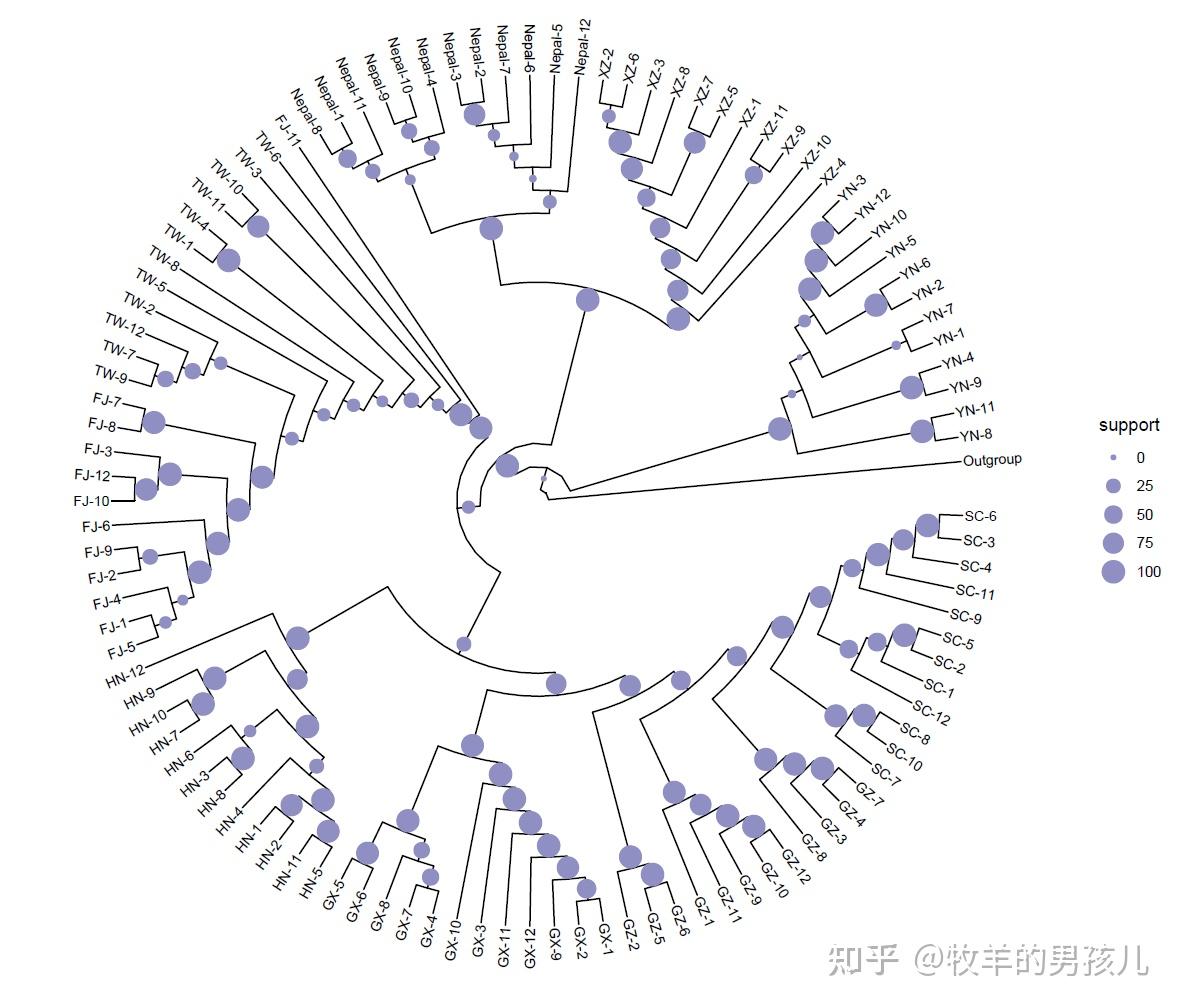 跟着Nature Plants学作图：R语言ggtree包展示进化树 - 知乎