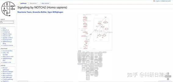 查找感兴趣的通路图（一）：Wiki pathways数据库 - 知乎