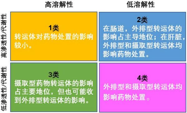 IPHASE/汇智和源新品推介 — ABC转运体囊泡和SLC转运体细胞 - 知乎