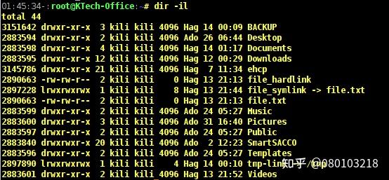 如何在Linux中使用具有不同选项和参数的'dir'命令 - 知乎