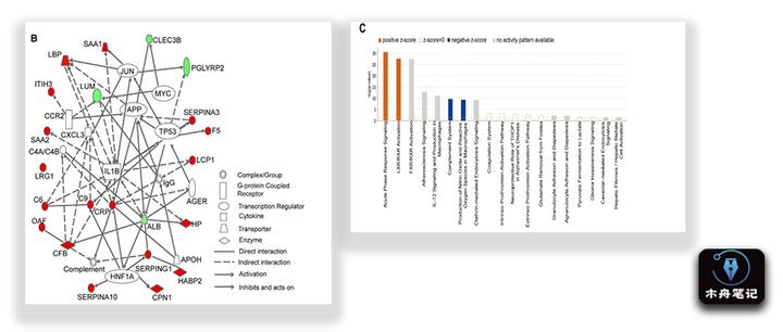 跟着Cell学作图| 11.Ingenuity Pathway Analysis(IPA) - 知乎