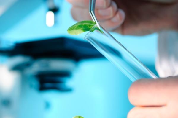 ZCIBIO——线粒体呼吸链复合体检测 - 知乎