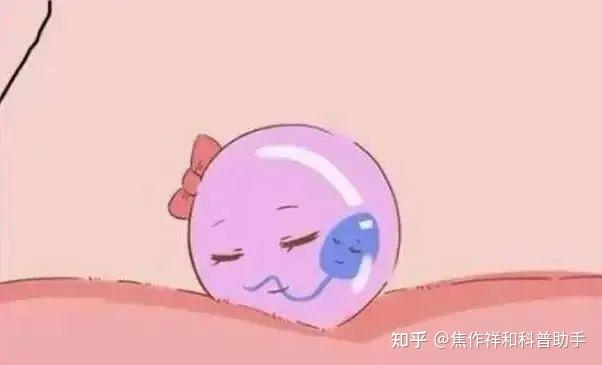 这两天同房比排卵当日受孕几率还高！ 知乎