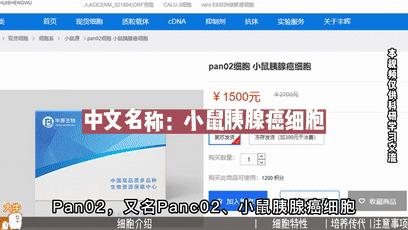 Pan02细胞培养，小鼠胰腺癌细胞培养攻略 - 丰晖生物 - 知乎