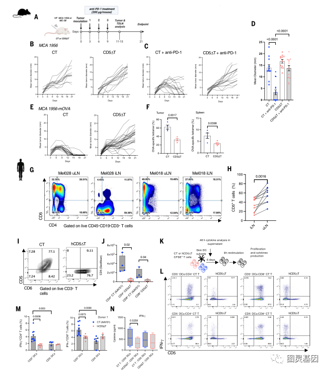 Science | 表达CD5的树突状细胞指导T细胞免疫并维持免疫治疗应答 - 知乎