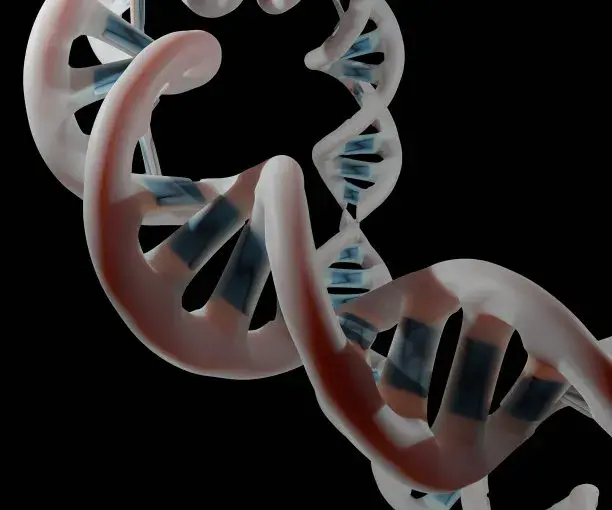 论文怎么发表:NUCLEIC ACIDS RESEARCH - 知乎