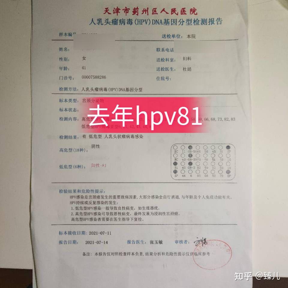hpv81转阴了 - 知乎