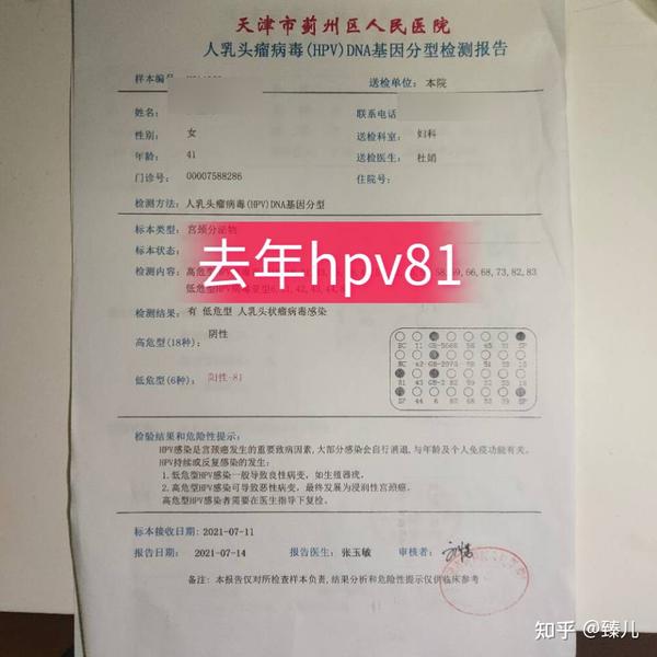 hpv81转阴了 - 知乎