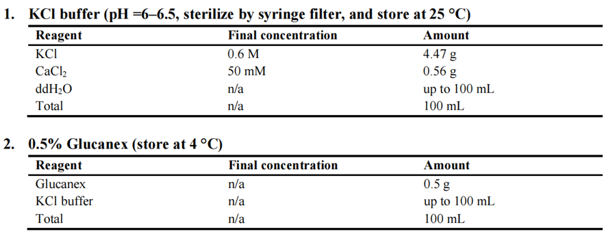实验方案系列 | 核盘菌遗传转化系统的建立 - 知乎