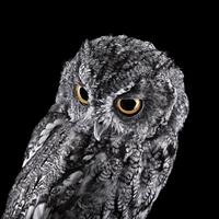 [SQL快速入门-43] SQL视图：CREATE VIEW - 知乎