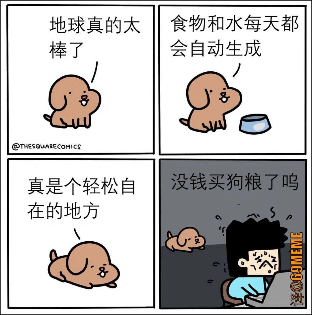 你看过的最有意思的meme、梗图有哪些? - 知乎
