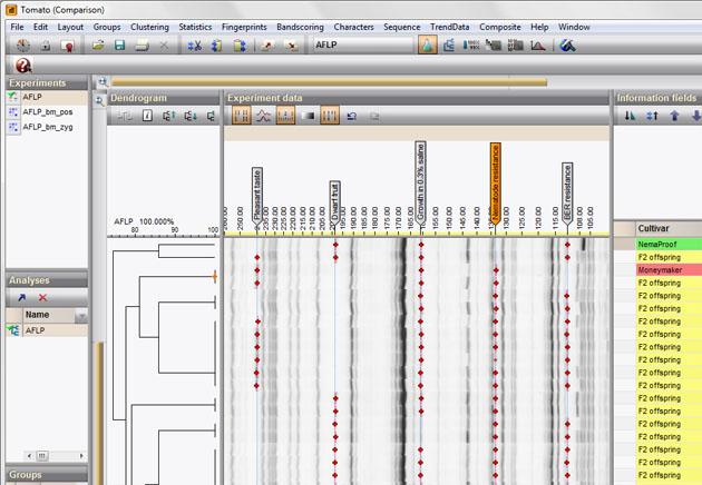 【bionumerics应用09】基于AFLP的共显性条带评分 - 知乎