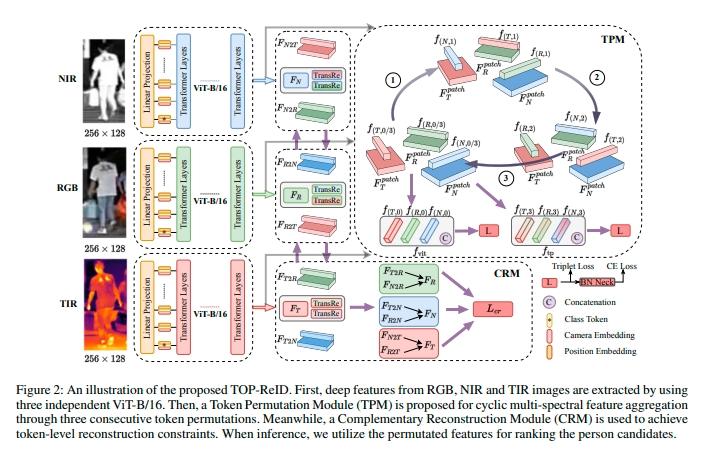 TOP-ReID：基于token置换的多光谱物体再识别(代码已开源) - 知乎