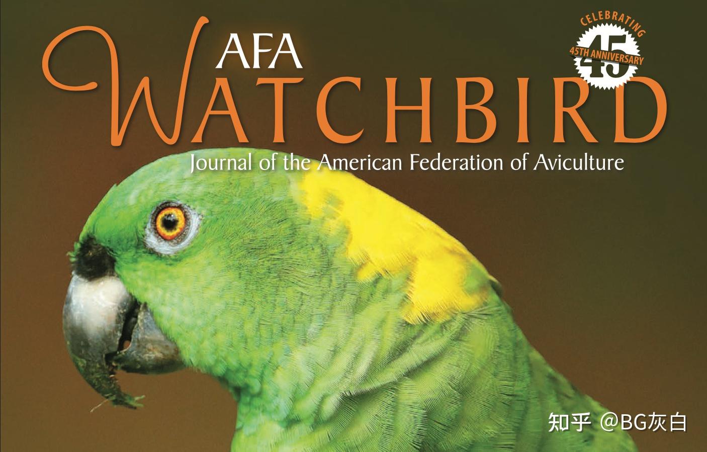 黄颈亚马逊鹦鹉（Amazona auropalliata） - 知乎