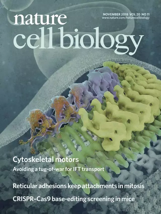 45张11月Nature子刊封面美出新高度，哪张最打动你？ - 知乎
