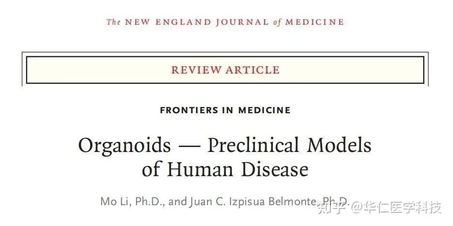 NEJM综述：类器官——人类疾病的临床前模型 - 知乎