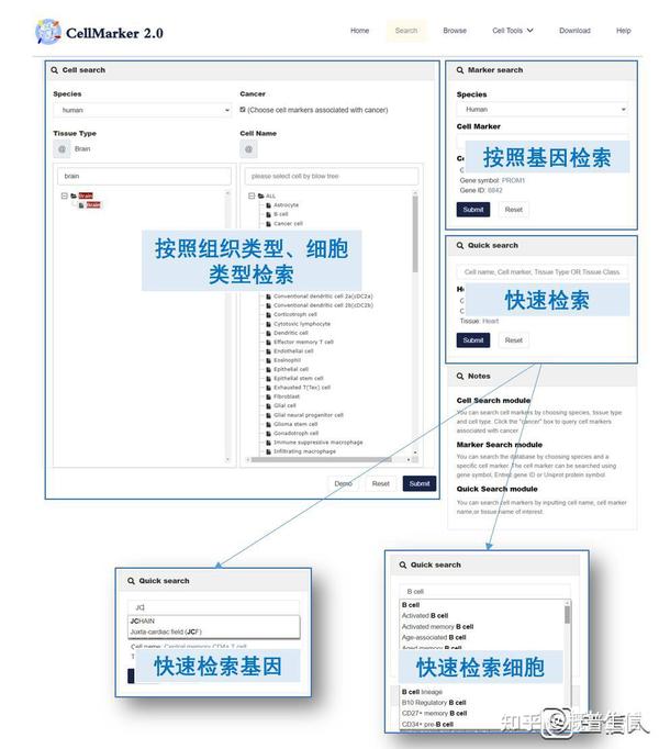细胞类型注释，用它就够了——CellMarker 2.0 - 知乎