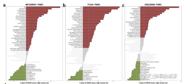 最新8+生信，肿瘤相关成纤维细胞单肿瘤分型，值得学习！ - 知乎