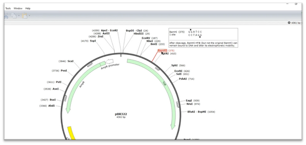 SnapGene学院之旅-注释序列 - 知乎
