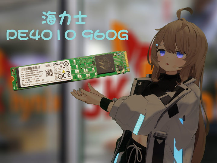 海力士（Hynix） PE4010 960G M.2 22110测试 - 知乎