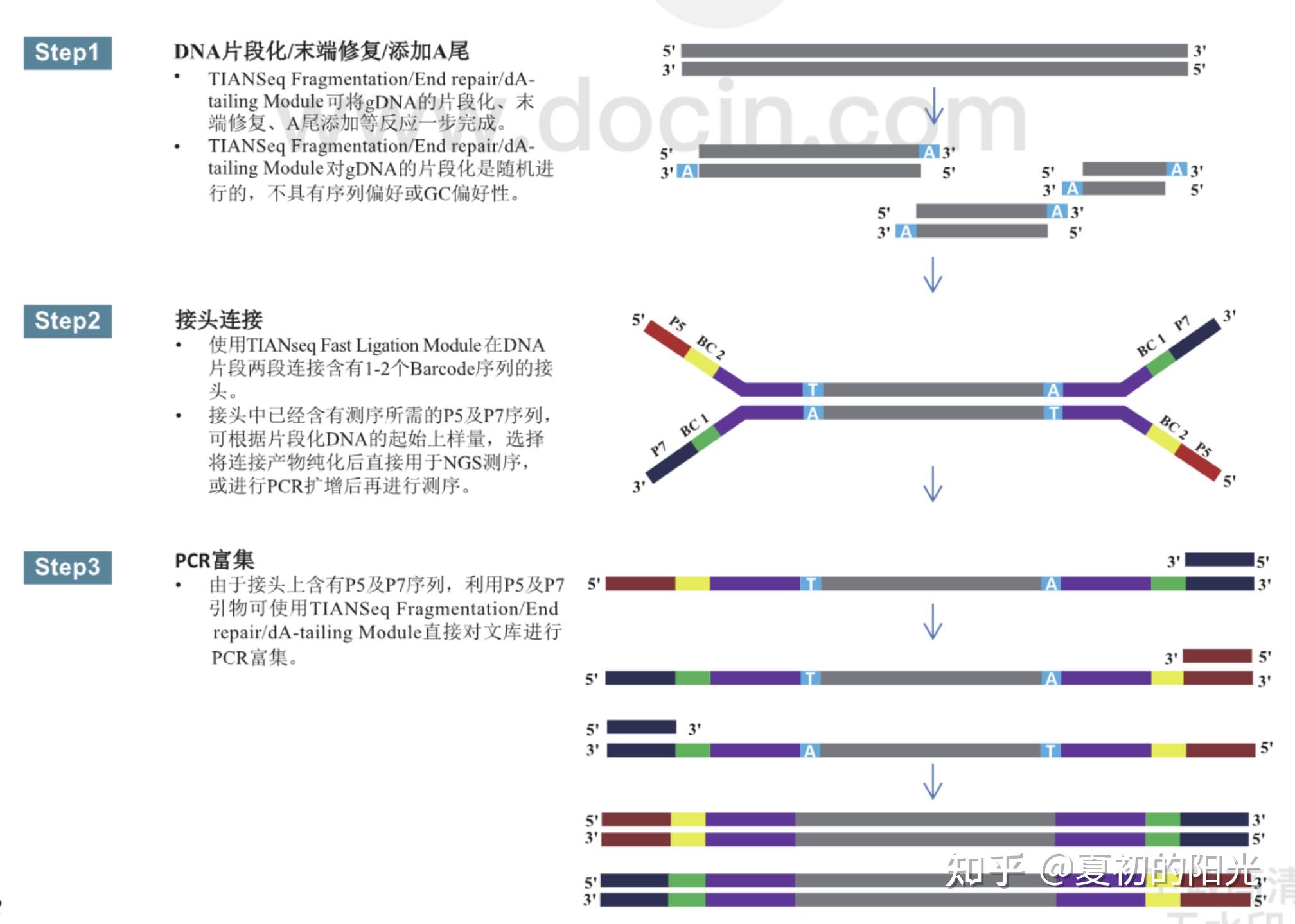 10x Genomics 单细胞技术简介 - 知乎