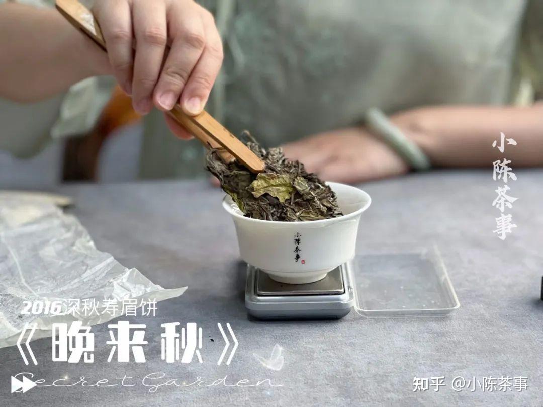 夜晚喝茶担心失眠?绿茶、白茶、红茶、普洱茶,哪些可以晚上喝? 知乎
