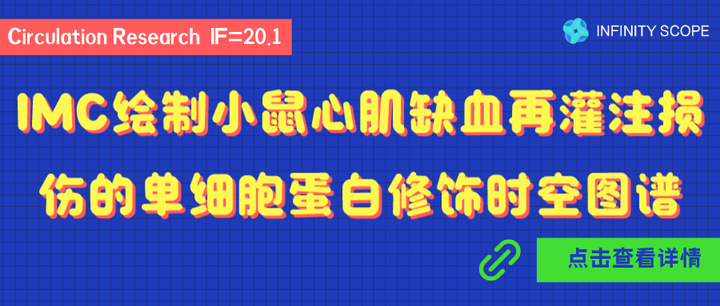 Circ Res | IMC绘制小鼠心肌缺血再灌注损伤的单细胞蛋白修饰时空图谱 - 知乎