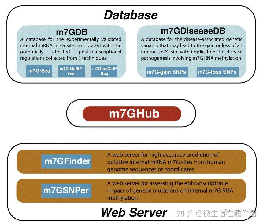 利用m7Ghub数据库查询并使用iRNA-m7G软件预测RNA m7G修饰位点 - 知乎