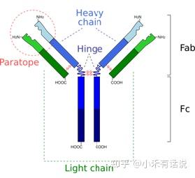 lgy到底有什么用？ - 知乎