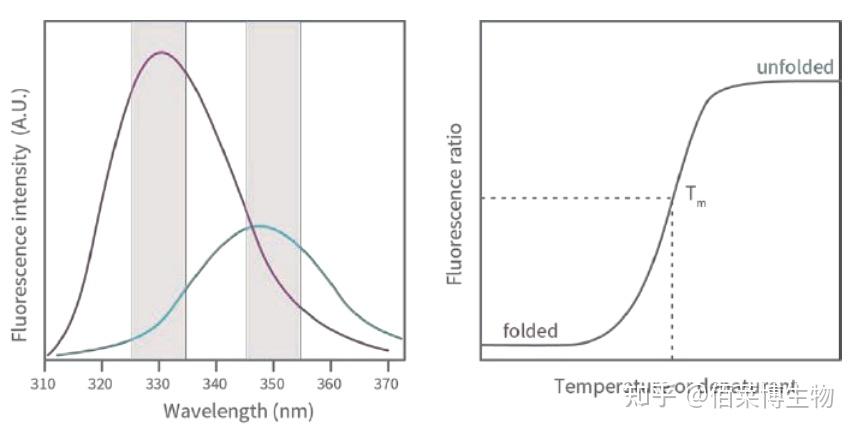 nanoDSF蛋白质稳定性分析实验服务 - 知乎