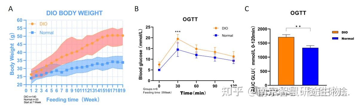 智鼠课堂 | DIO小鼠——肥胖症糖尿病模型（附DIO喂养Tips) - 知乎