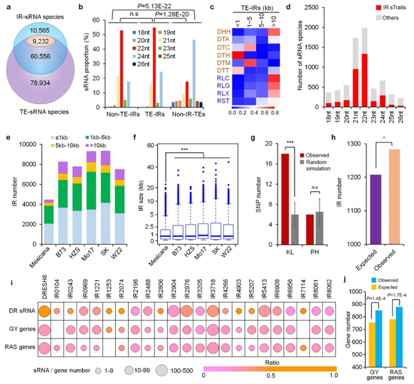 Nature Biotech | 华中农业大学代明球课题组联合李峰、李林课题组揭示玉米抗旱性与产量平衡的关键遗传调控机制 - 知乎