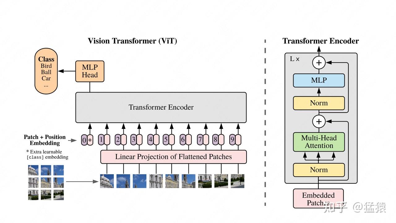 再读Swin Transformer，有多少细节值得关注？ - 知乎