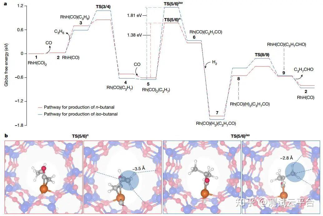 硬核！在读博士共一先发Nature！仅隔20天，又发Nat. Catal.! - 知乎