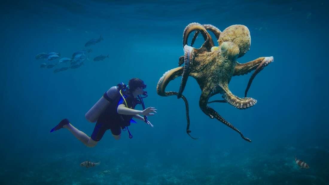 #E5#Lobsters, octopuses and crabs feel pain says U.K. - 知乎