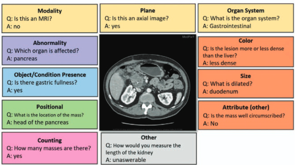 VQA-RAD 数据集介绍 - 知乎