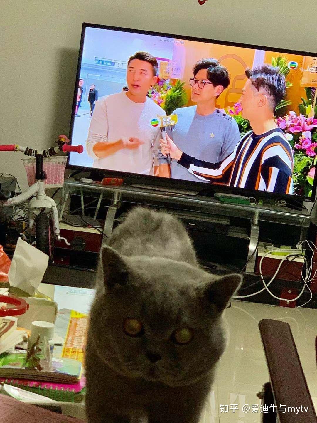 在大陆如何可以看VIU.TV？ - 知乎