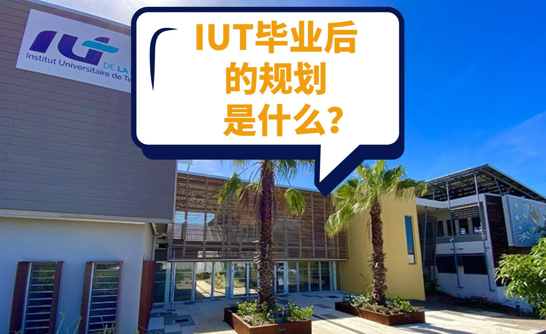 IUT学生心中的法国学习生活（四）：IUT毕业后的规划是什么？ - 知乎