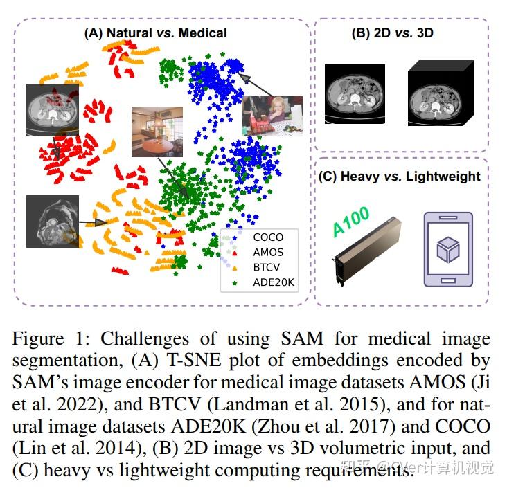 首个！AutoSAM Adapter：自动提示SAM以实现强大的3D医学图像分割 - 知乎
