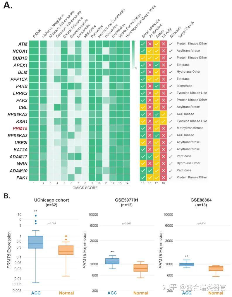 JECCR 唾液腺癌类器官模型揭示PRMT5是治疗腺样囊性癌的有效靶点 - 知乎