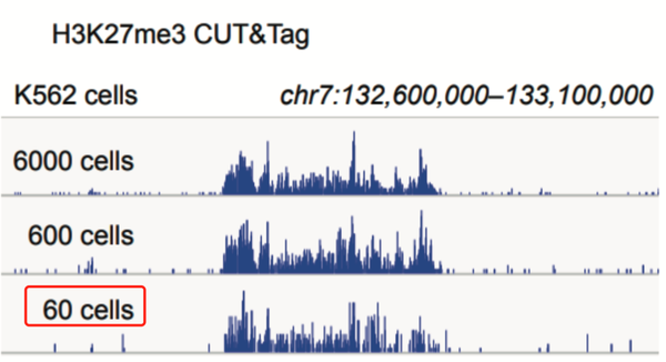 景杰生物CUT&Tag科研服务上线啦~ - 知乎
