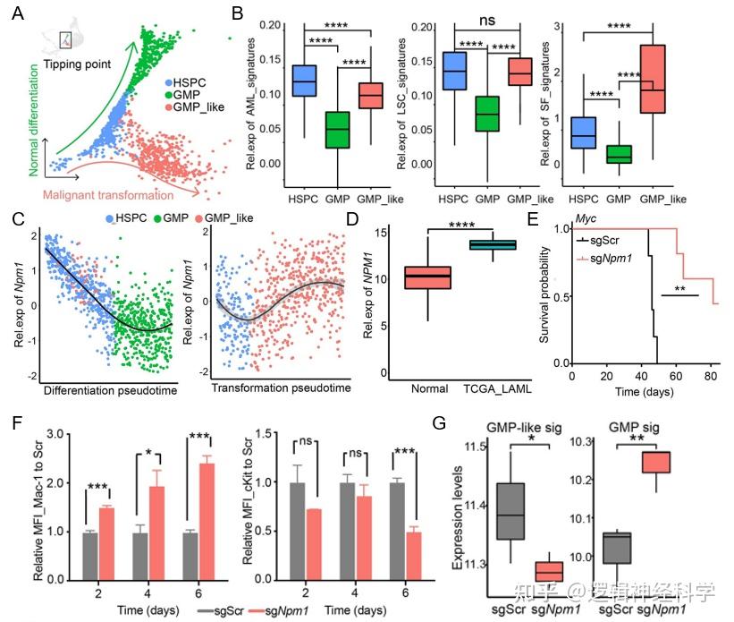 PLOS Biol︱四川大学华西陈崇/刘玉/陈路团队利用单细胞多时间点测序揭示可变剪接在急性髓系白血病发生过程中的关键作用 - 知乎