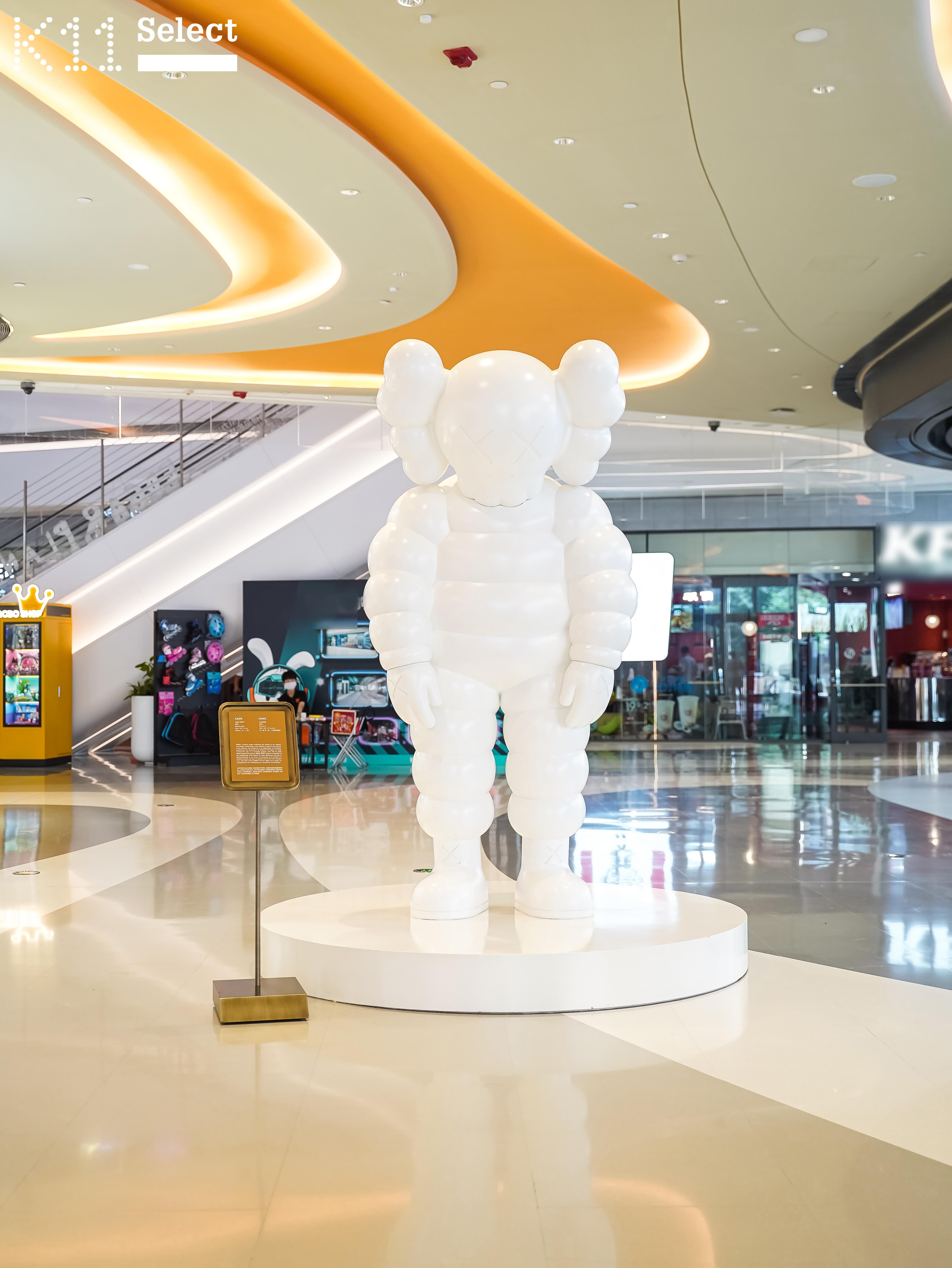 天津 K11 Select 艺术节正式开幕 KAWS、Edgar Plans 两大艺术展同步启动 - 知乎