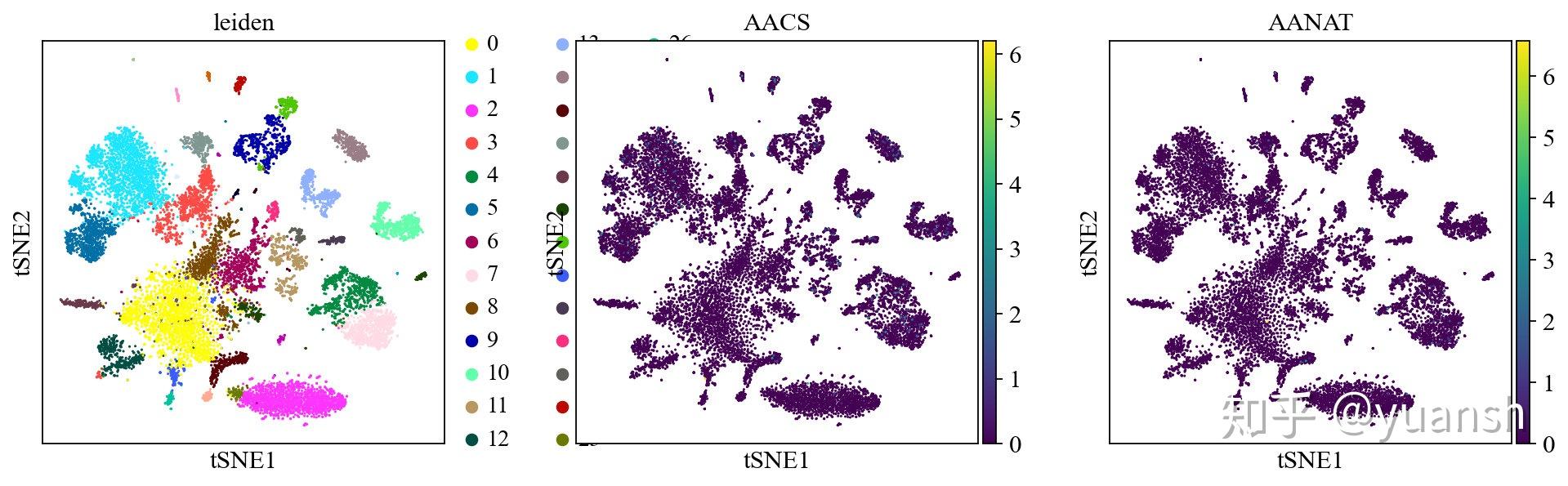 （单细胞-SingleCell）Scanpy流程——python 实现单细胞 Seurat 流程 - 知乎