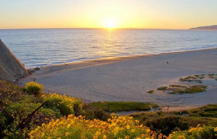 美国加州Prop65测试项目详细介绍 - 知乎