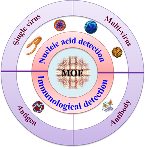 Bio Mater. | MOF在生物技术方面的应用 - 知乎