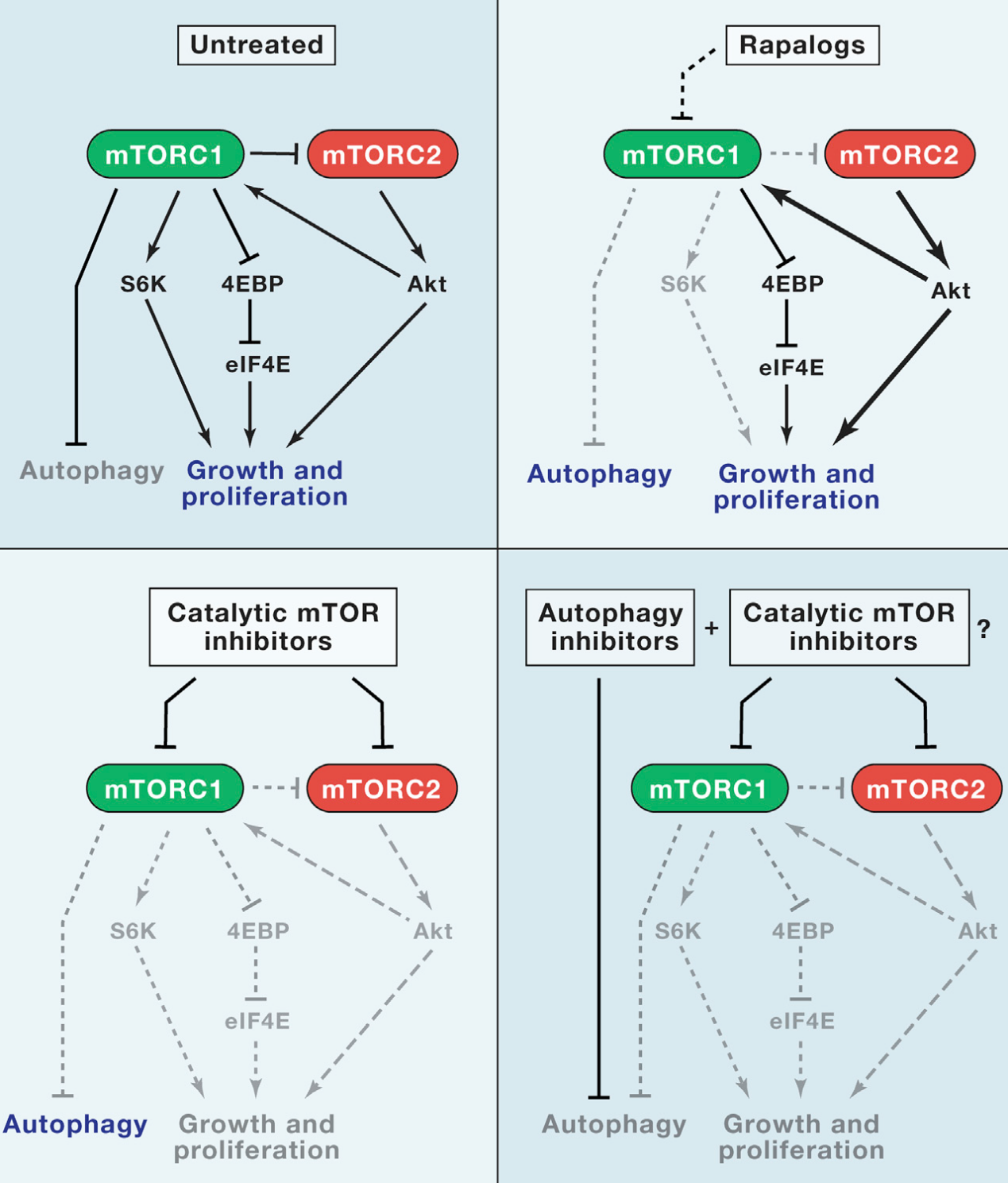 干货 | 揭开mTOR神秘面纱 - 知乎