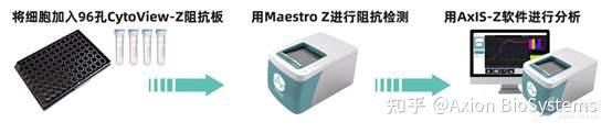 Maestro Z - 实时无标记细胞分析系统 - 知乎