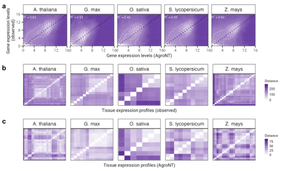 可食用植物基因组的基础大型语言模型AgroNT介绍 - 知乎