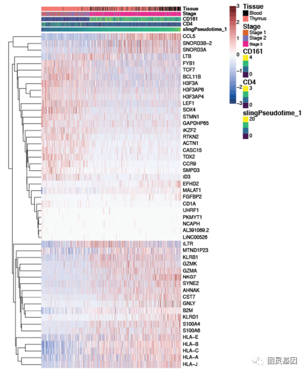 Sci Immu | γδ T细胞如何发育和产生免疫反应 - 知乎
